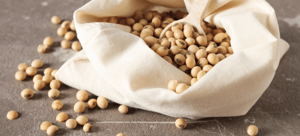 Soy protein isolate vs concentrate - what is the difference and which ...