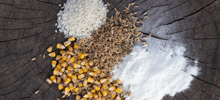 Feed-grade raw materials - types, components, and applications | FDCM
