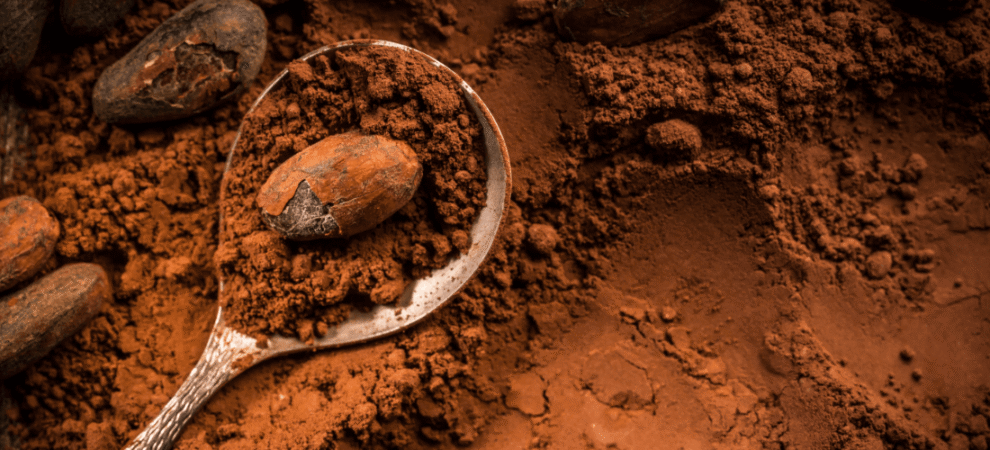 ¿Cómo elegir el cacao? Tipos, propiedades y usos prácticos del cacao | FDCM